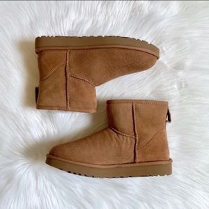 UGG | Shoes | Ugg Chestnut Classic Mini Ii Boots | Poshmark